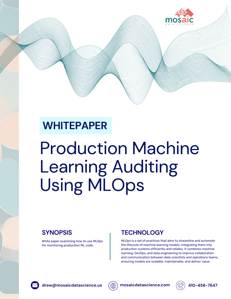 Production Machine Learning Auditing | MLOPs White Paper