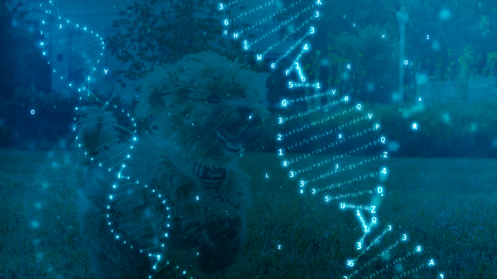 Predictive Pet Disease Analytics with DNA-Based Models
